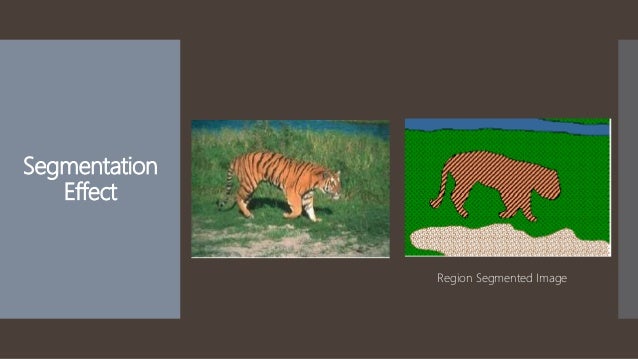 Region based image segmentation