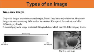 Introduction to Image Processing_Lecture01 | PPT