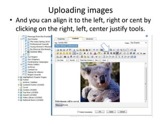 Uploading images to your website. | PPTX