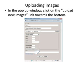 Uploading images to your website. | PPTX