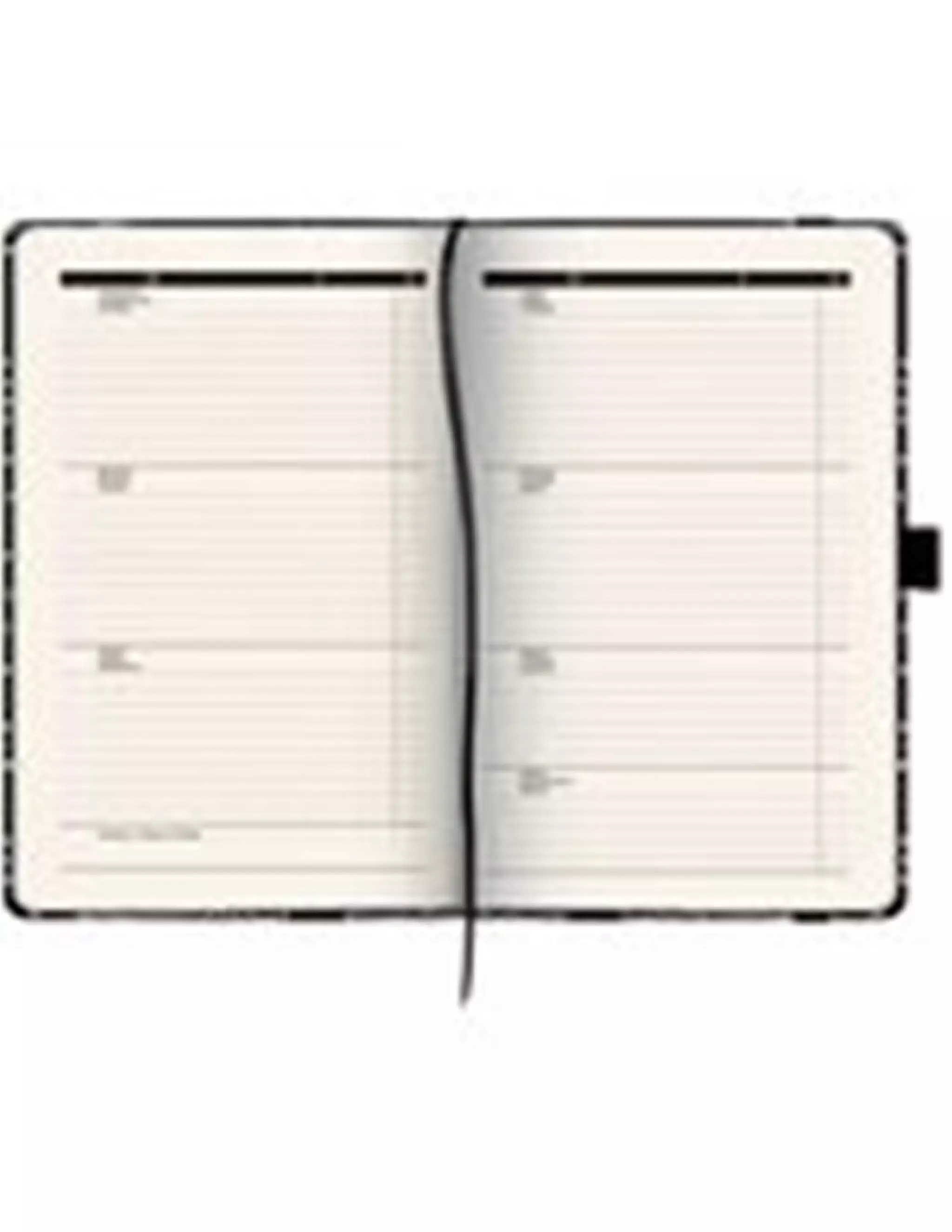 Code Name Verity (Anniversary Edition) | PDF