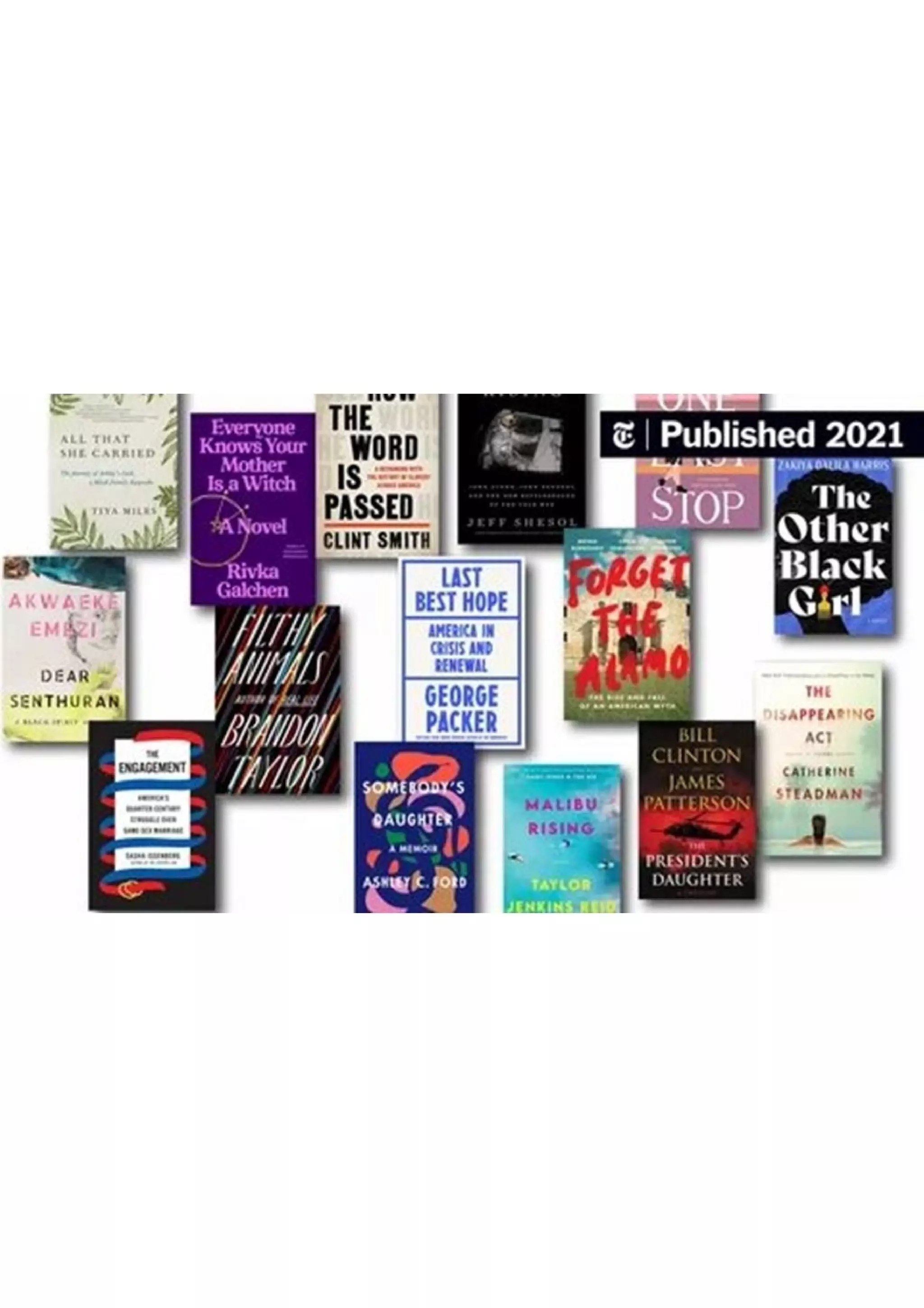 Knee Ability Zero | PDF