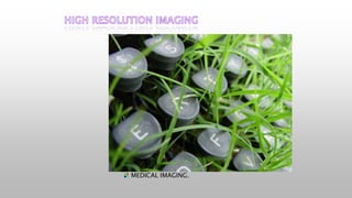 Image processing training in pune | PPT