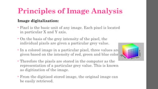 Image analysis in pathology, histopathology | PPTX
