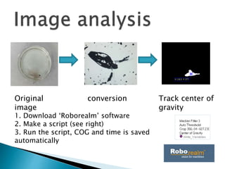 Image analysis of daphnia | PPTX