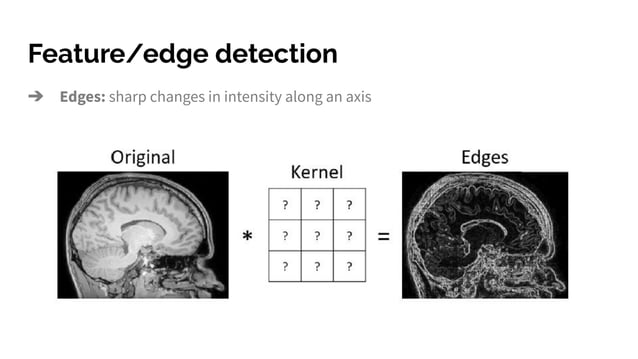 Image Analysis Using Python Pdf 8847
