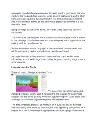 Image and video annotation | DOCX