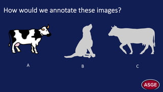 Image annotation - Segmentation & Annotation | PDF | Technology & Computing