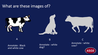 Image annotation - Segmentation & Annotation | PDF