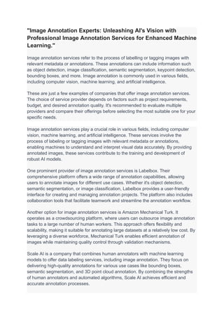 _Image Annotation Experts_ Unleashing AI's Vision with Professional Image Annotation Services ...
