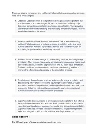 _Image Annotation Experts_ Unleashing AI's Vision with Professional Image Annotation Services ...