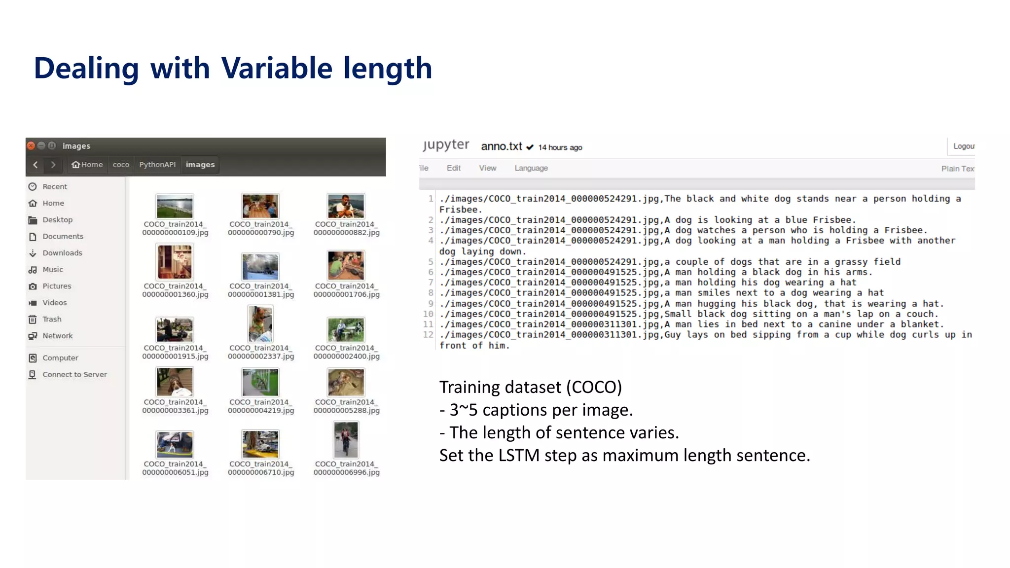 Show and tell: A Neural Image caption generator | PPTX | Physics | Science