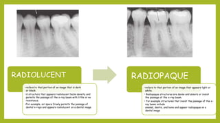 Image characteristics | PPTX