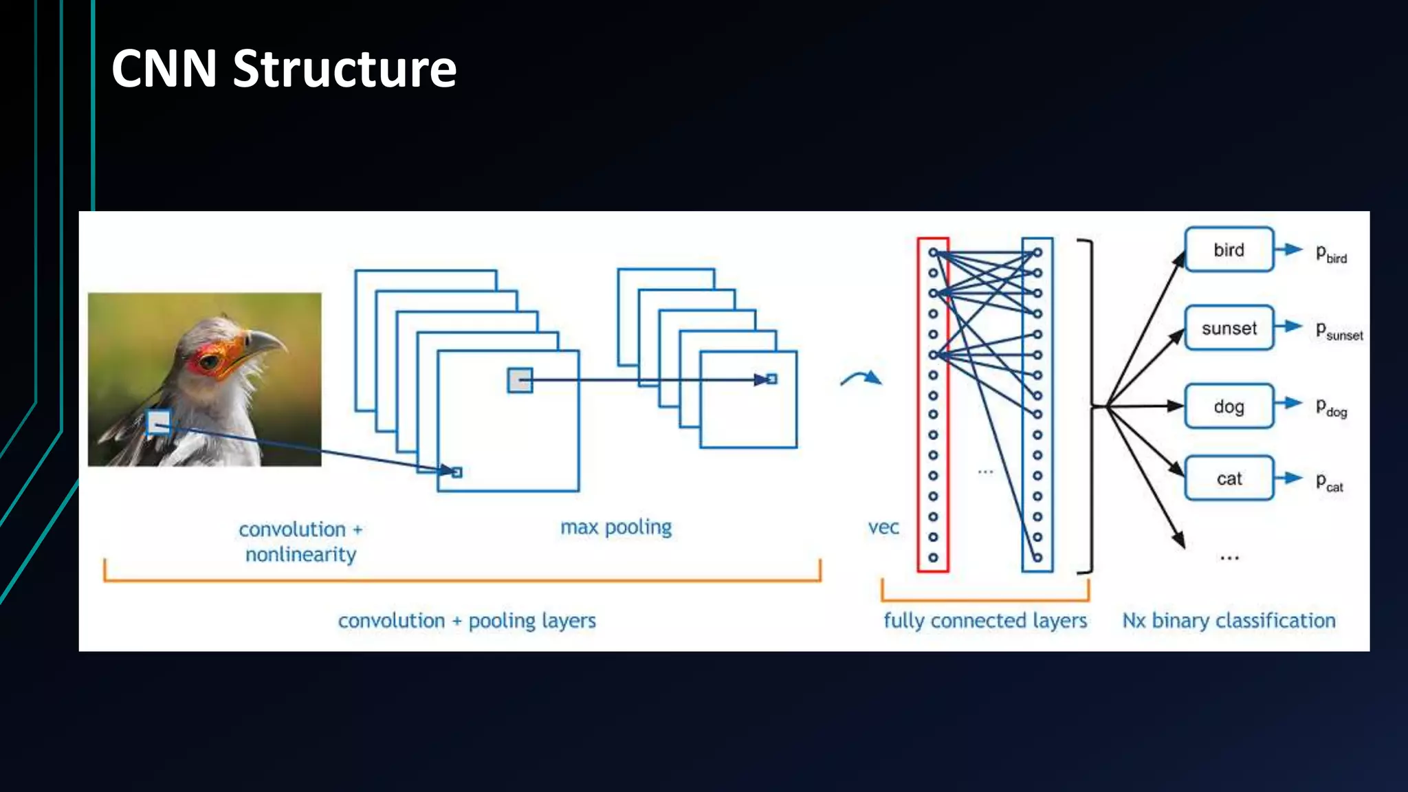 image_classification.pptx
