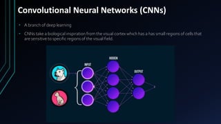 image_classification.pptx