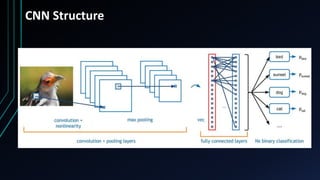 image_classification.pptx