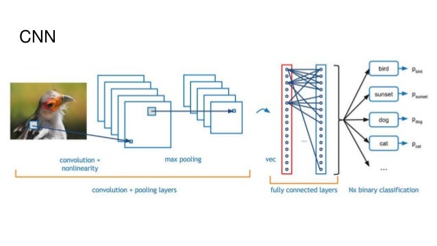 Image classification using cnn
