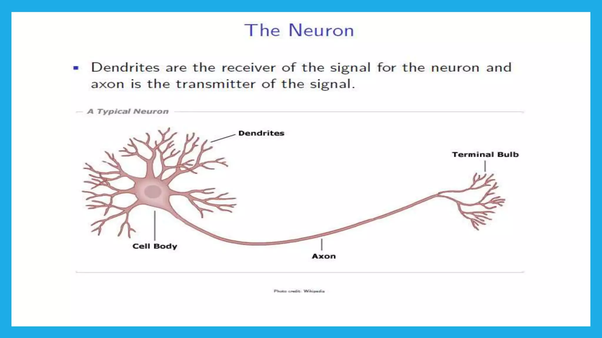 Image classification using cnn | PPTX | Technology Industry | Industries