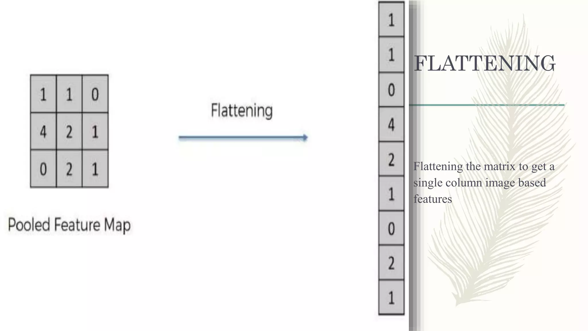 Image classification using cnn | PPTX