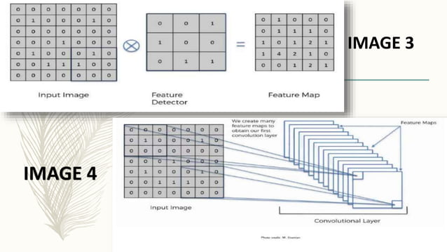 Image classification using cnn | PPTX | Artificial Intelligence | Technology & Computing