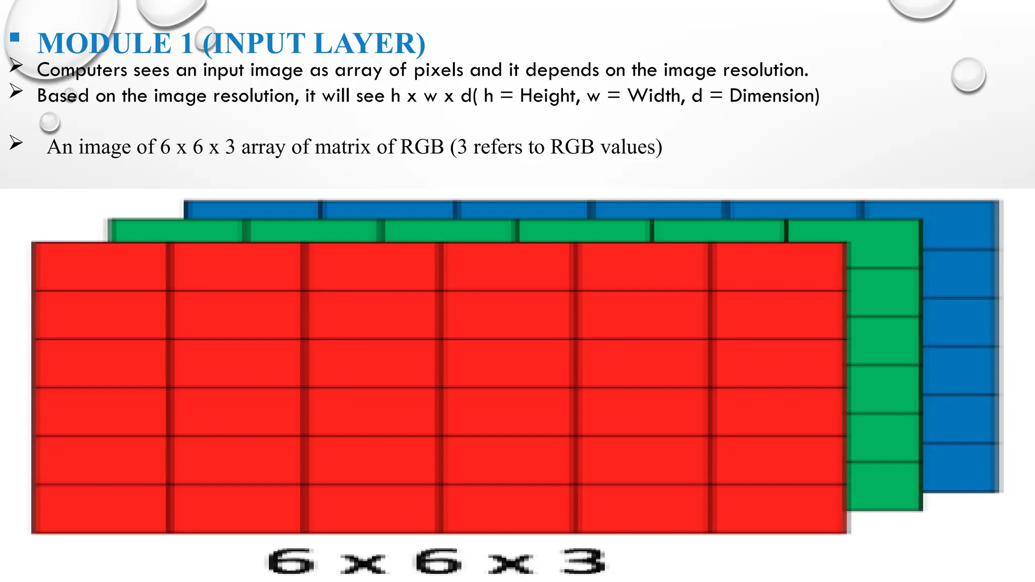 IMAGE CLASSIFICATION USING CONVOLUTIONAL NEURAL NETWORK.P.pptx