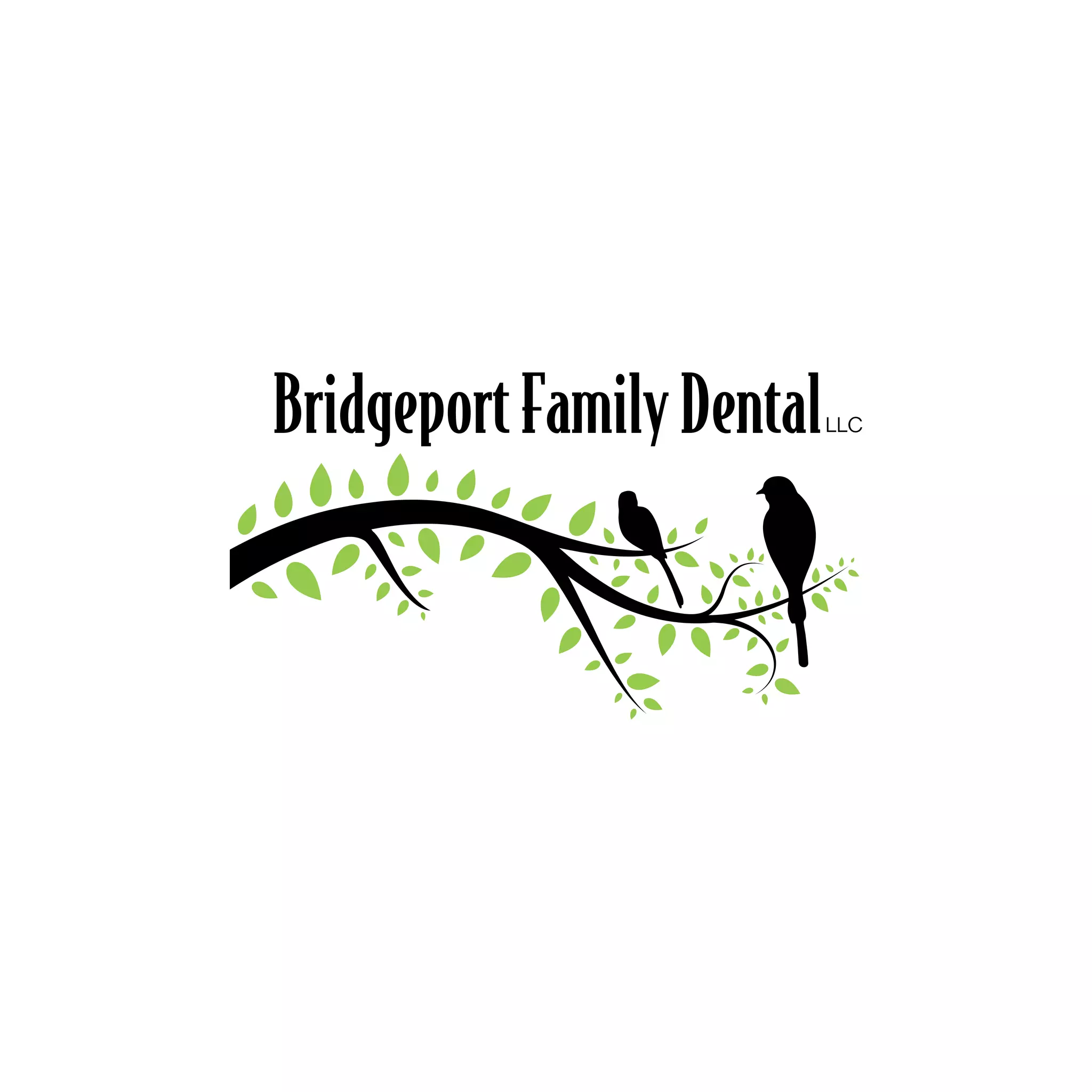 ImageCo Brand Portfolio | Dental Logos | PDF | Dental Health | Diseases ...