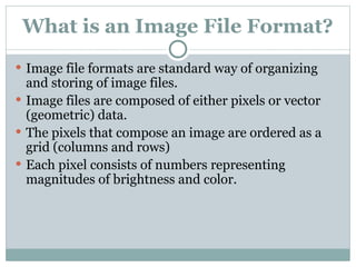 Digital Image Formats and Advantages and Disdavantages | PPT