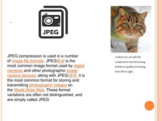 Image compression and jpeg | PPTX