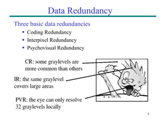 Image compression in digital image processing | PPTX