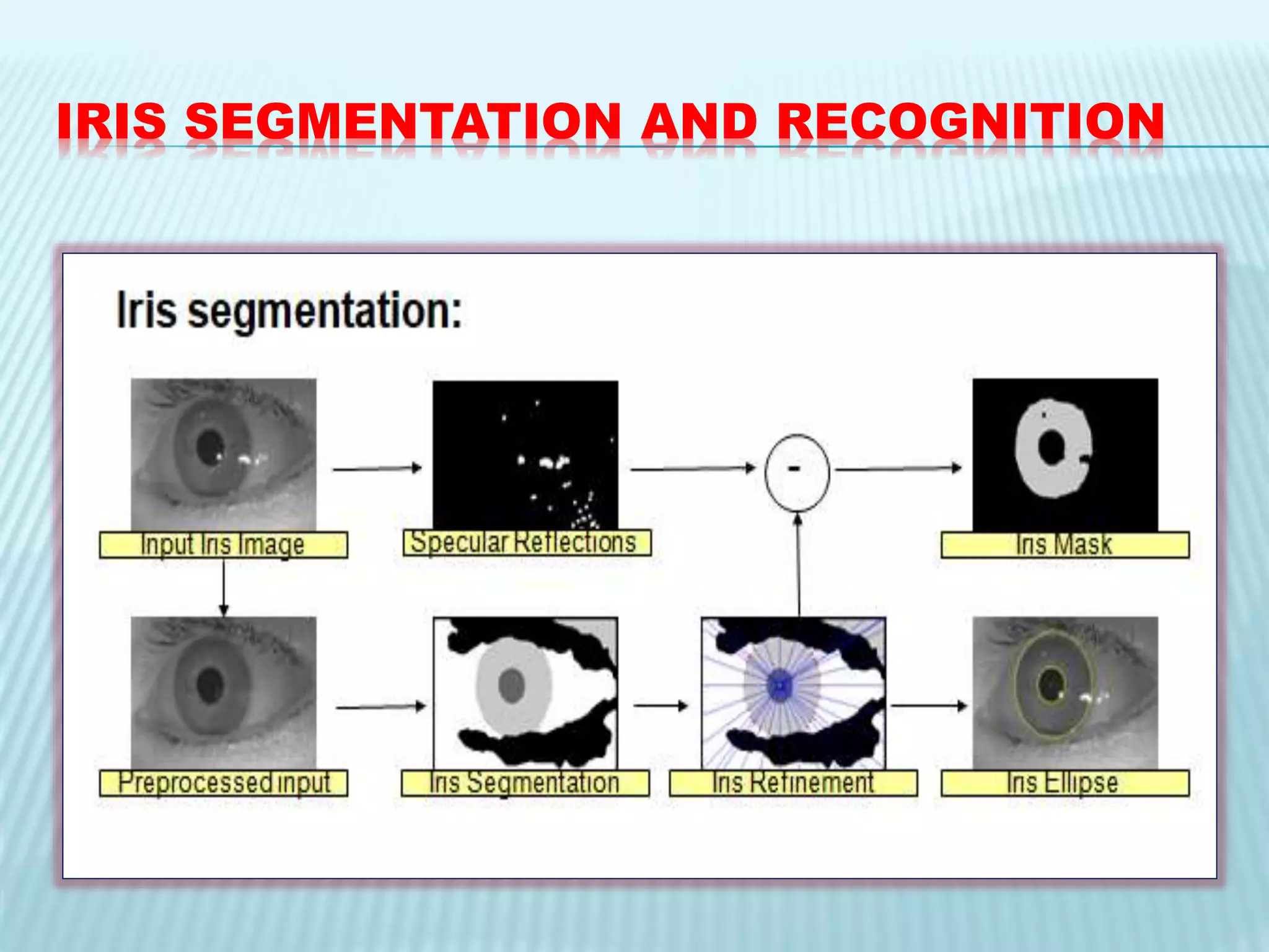Image compression standards | PPTX