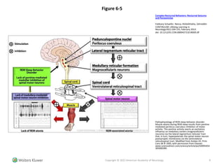 image_download.pptx.ppt