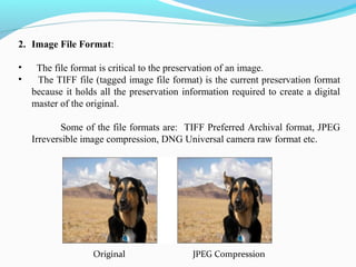 Image enhancement ppt nal2 | PPT | Photo Editing Software | Computer ...