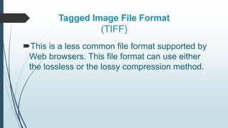 Image File Fomat | PPTX | Photo Editing Software | Computer Software ...