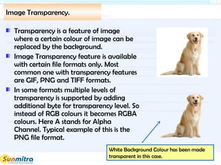 Digital Image File Formats | PPT