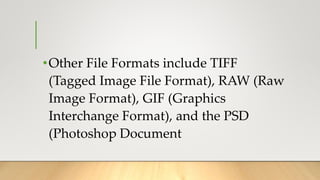 Image file formats | PPTX | Desktop Publishing | Computer Software and Applications