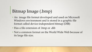 Image file formats | PPTX