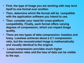 Image Files Formats | PPT