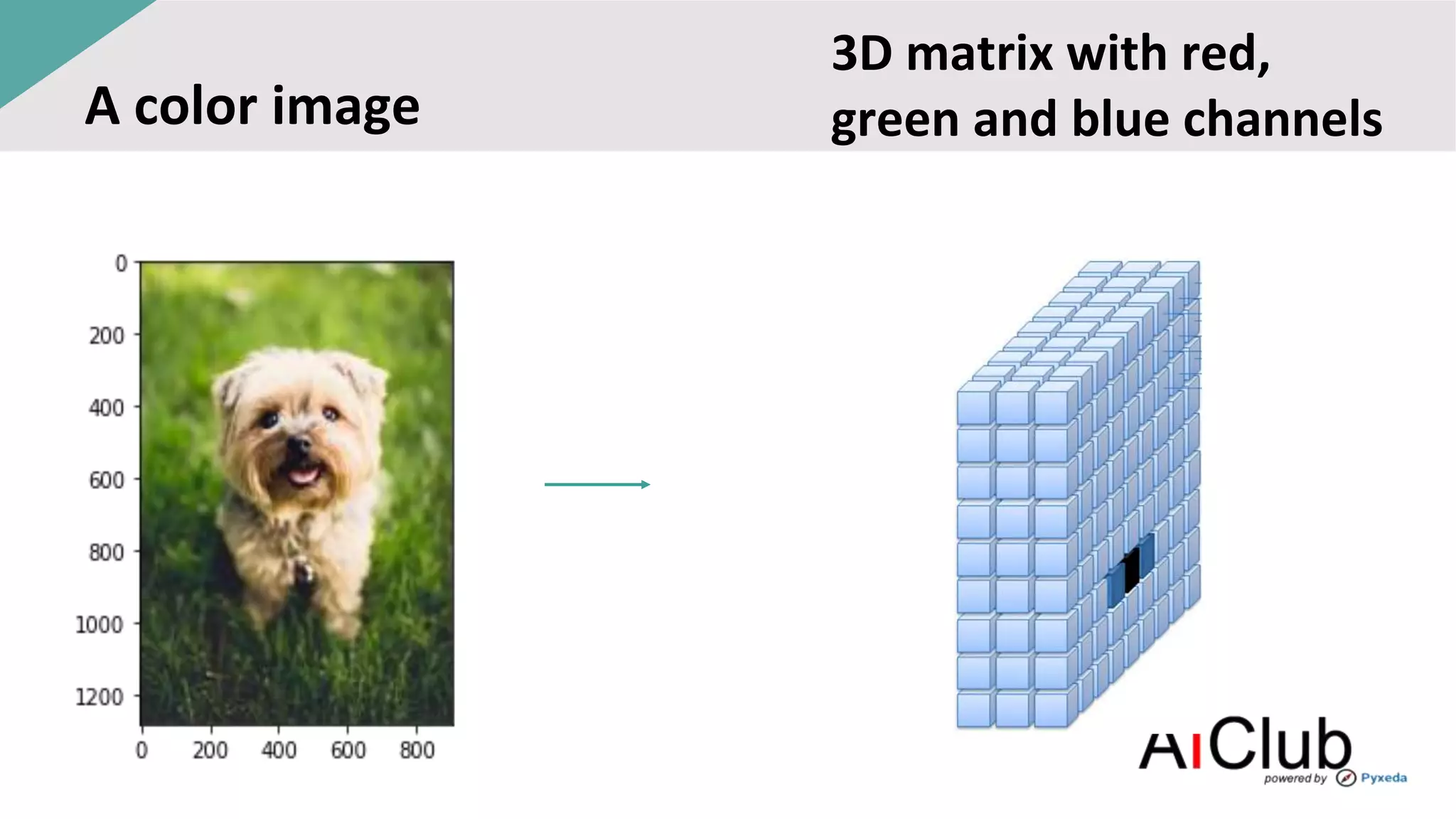 Image flattening | PPT