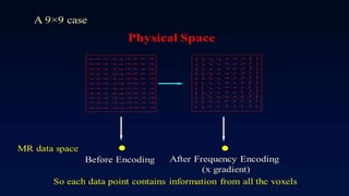 Image formation and localisation of the signal | PPT