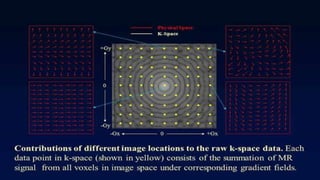 Image formation and localisation of the signal | PPT