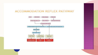 image forming mechanism, optical aberration | PPTX