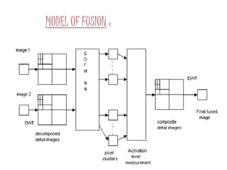 Imagefusfinalppt 140413102757-phpapp02 | PPT