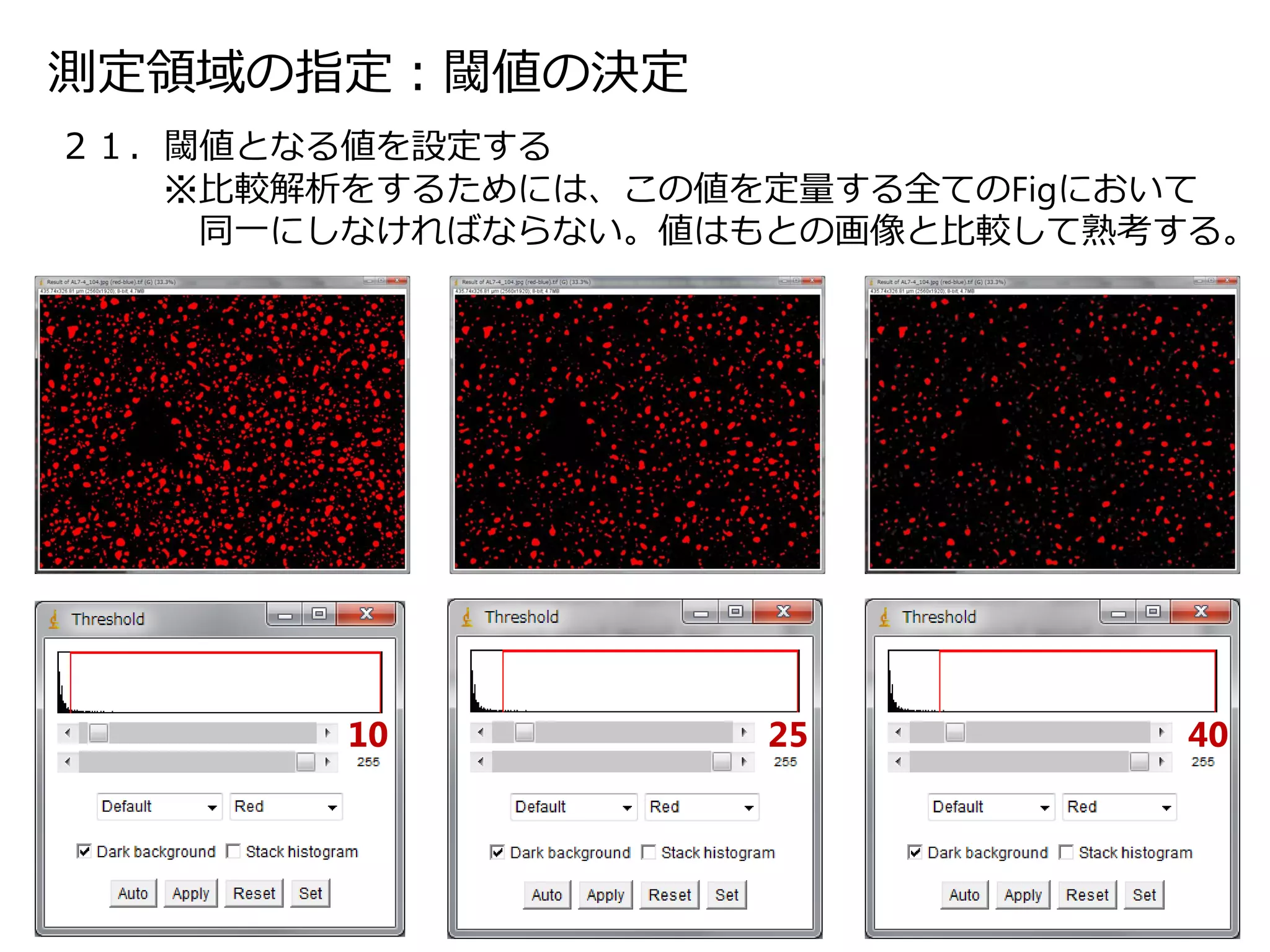 Image J を用いた組織像の定量解析 | PDF