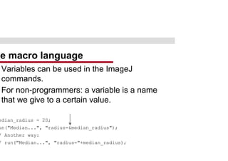 Image j advanced | PDF | Programming Languages | Computing