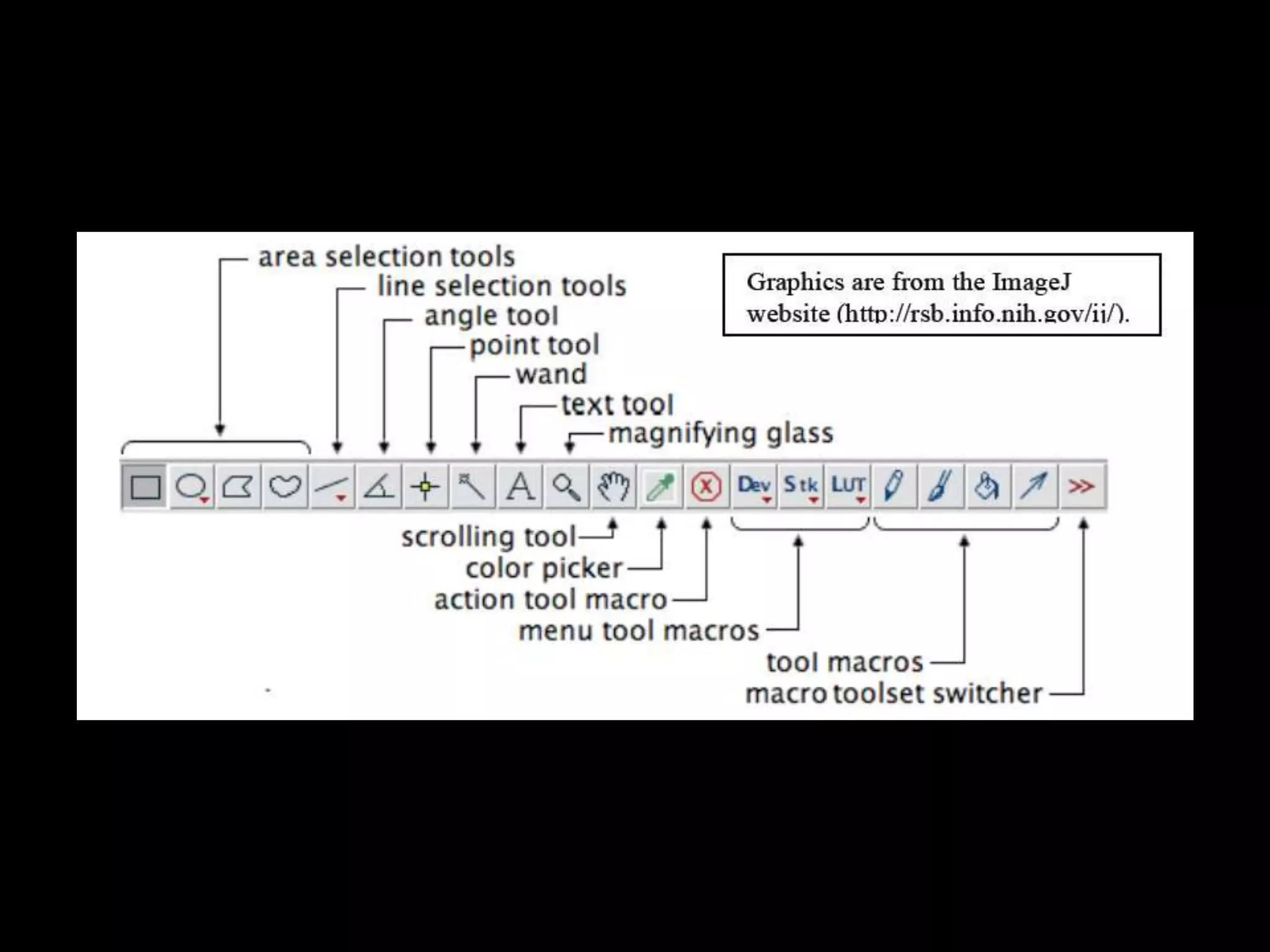 ImageJ Intro Presentation.ppt