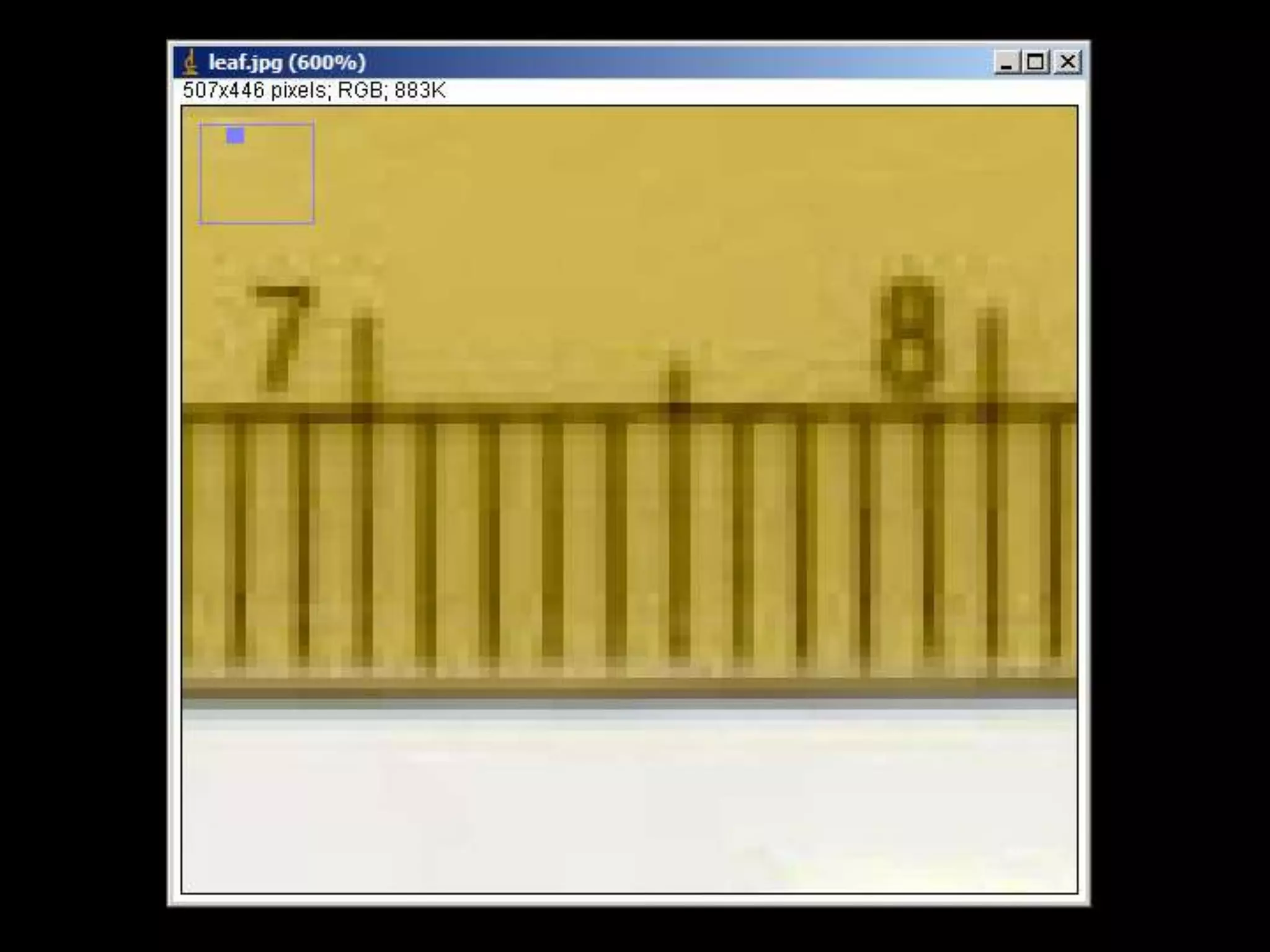 ImageJ Intro Presentation.ppt