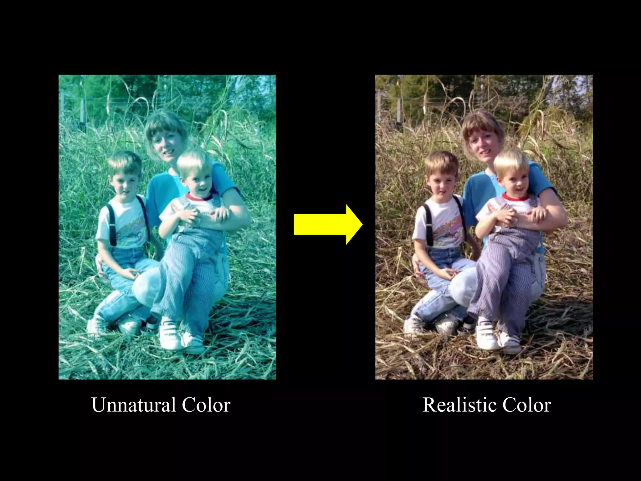 ImageJ Intro Presentation.ppt