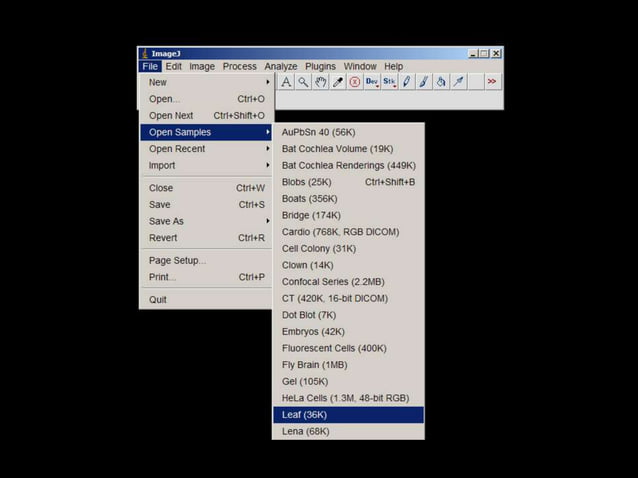 ImageJ Intro Presentation.ppt