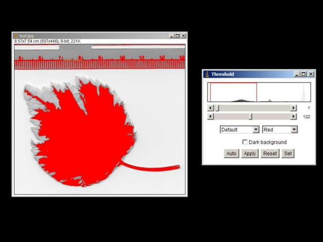 ImageJ Intro Presentation.ppt