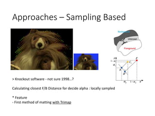 Image matting atoc | PPT